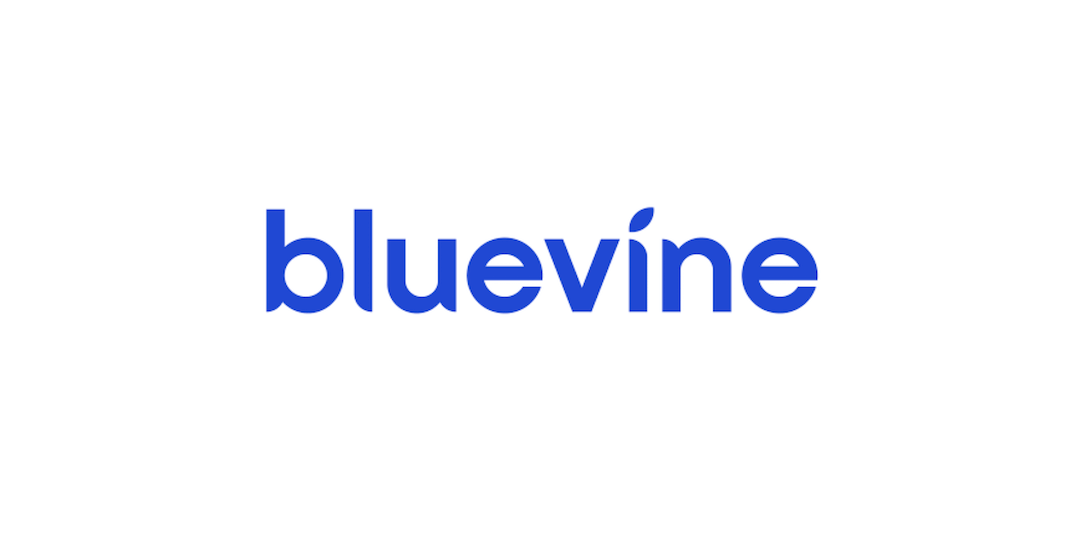 Bluevine reviews | Best Business Checking Bank Account 2025?